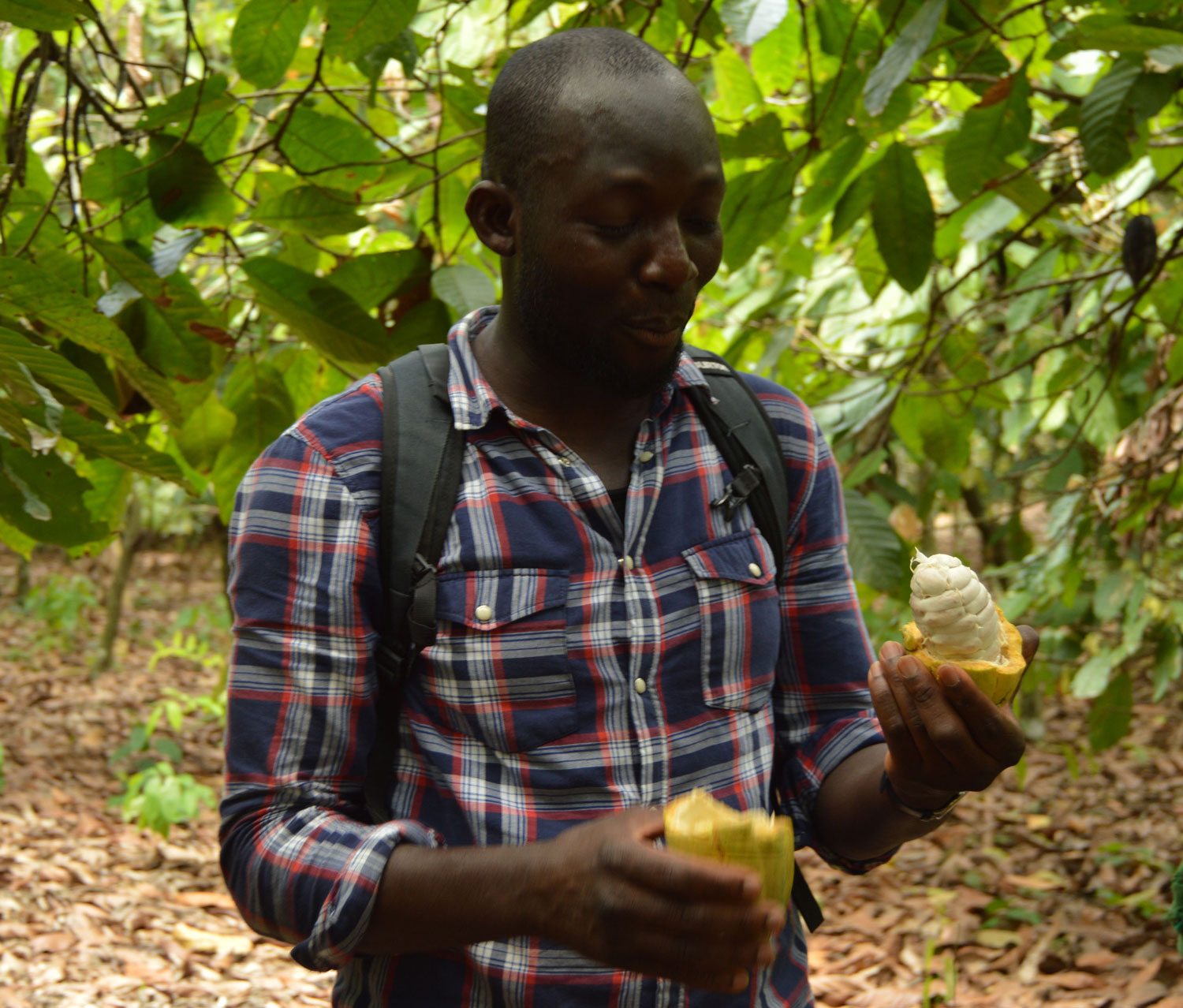 Dayog Kabore Profession and Services